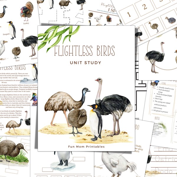 Flightless - Etsy