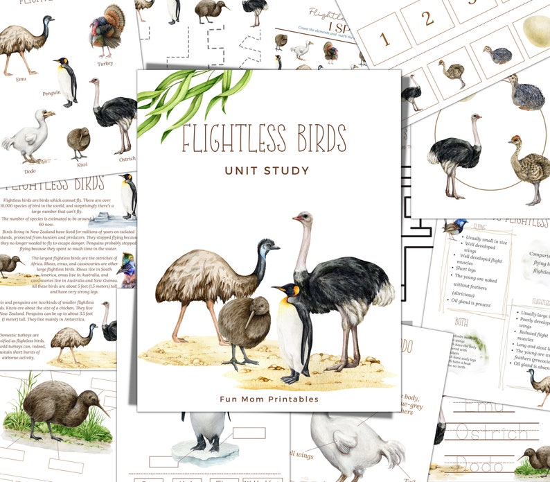 FLIGHTLESS Birds Unit Study Life Cycle Anatomy Nature - Etsy