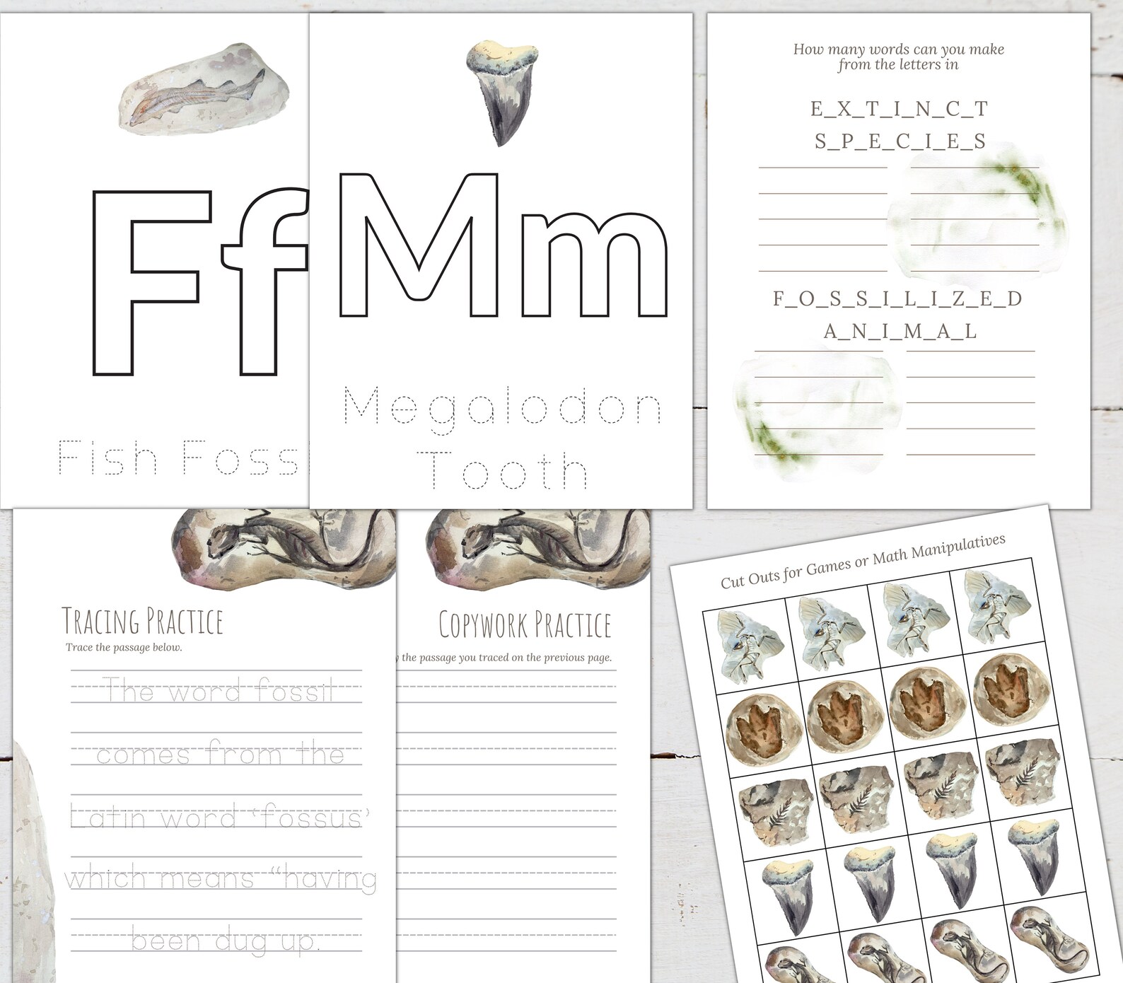 FOSSILS Unit Study, Anatomy, Nature Study, Science, Handwriting ...