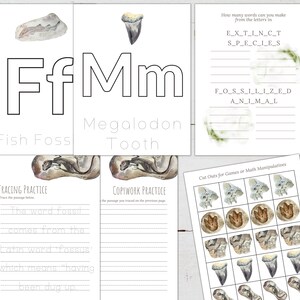 FOSSILS Unit Study, Anatomy, Nature Study, Science, Handwriting ...
