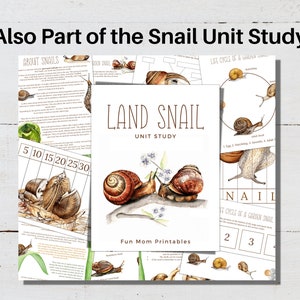 SNAIL Anatomy, Poster, Fact Cards, Labeling and Tracing Activity, Snail ...