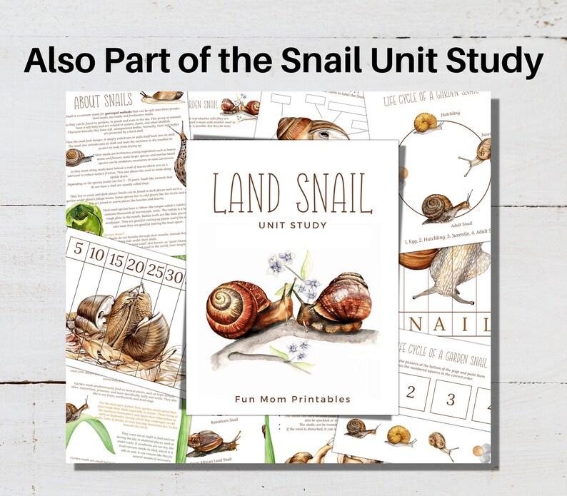 SNAIL Anatomy Poster Fact Cards Labeling and Tracing - Etsy Australia