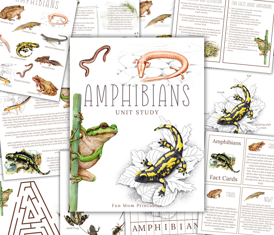 AMPHIBIANS Unit Study, Life Cycle, Anatomy, Nature Study, Science ...