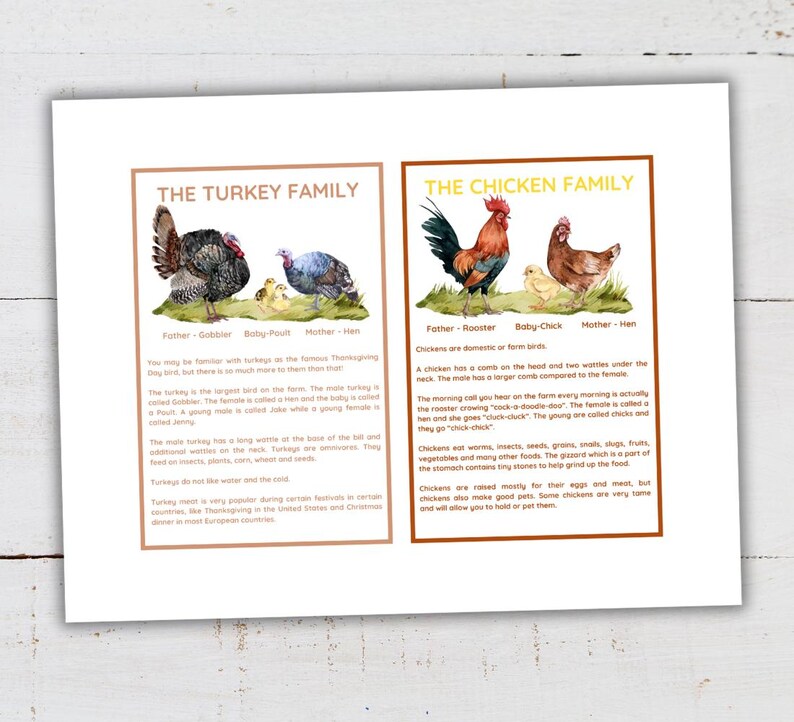 Farm Animals Flashcards: Educational Mini Poster (printable PDF) - Etsy