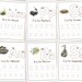 BIRD NESTS Unit Study, Nature Study, Science, Handwriting, Homeschool ...
