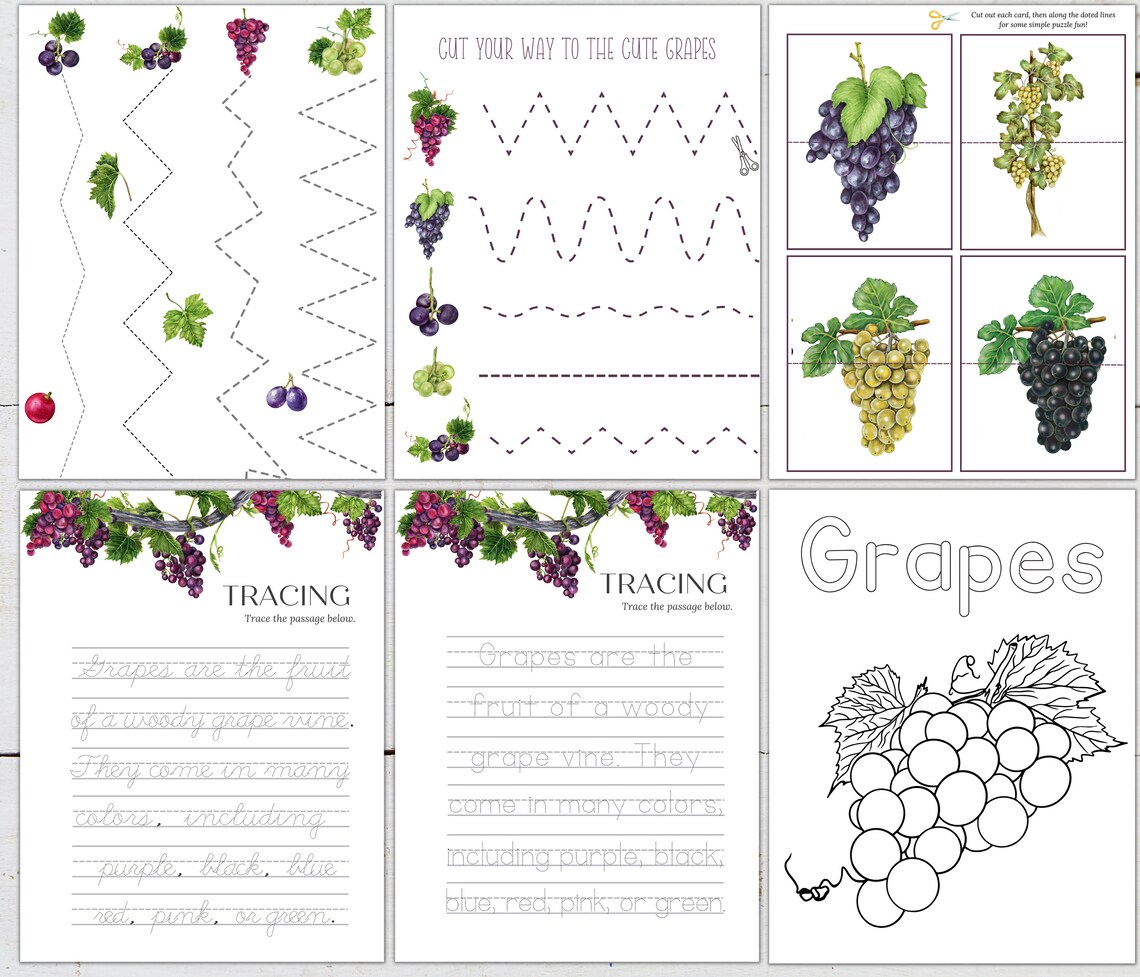 GRAPES Unit Study, Anatomy, Nature Study, Science, Handwriting ...