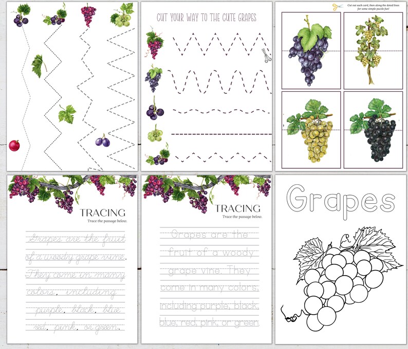 GRAPES Unit Study, Anatomy, Nature Study, Science, Handwriting ...