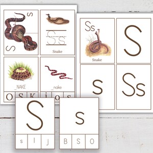 LETTER of the WEEK, S is for Snake, Letter S Activities, Alphabet ...