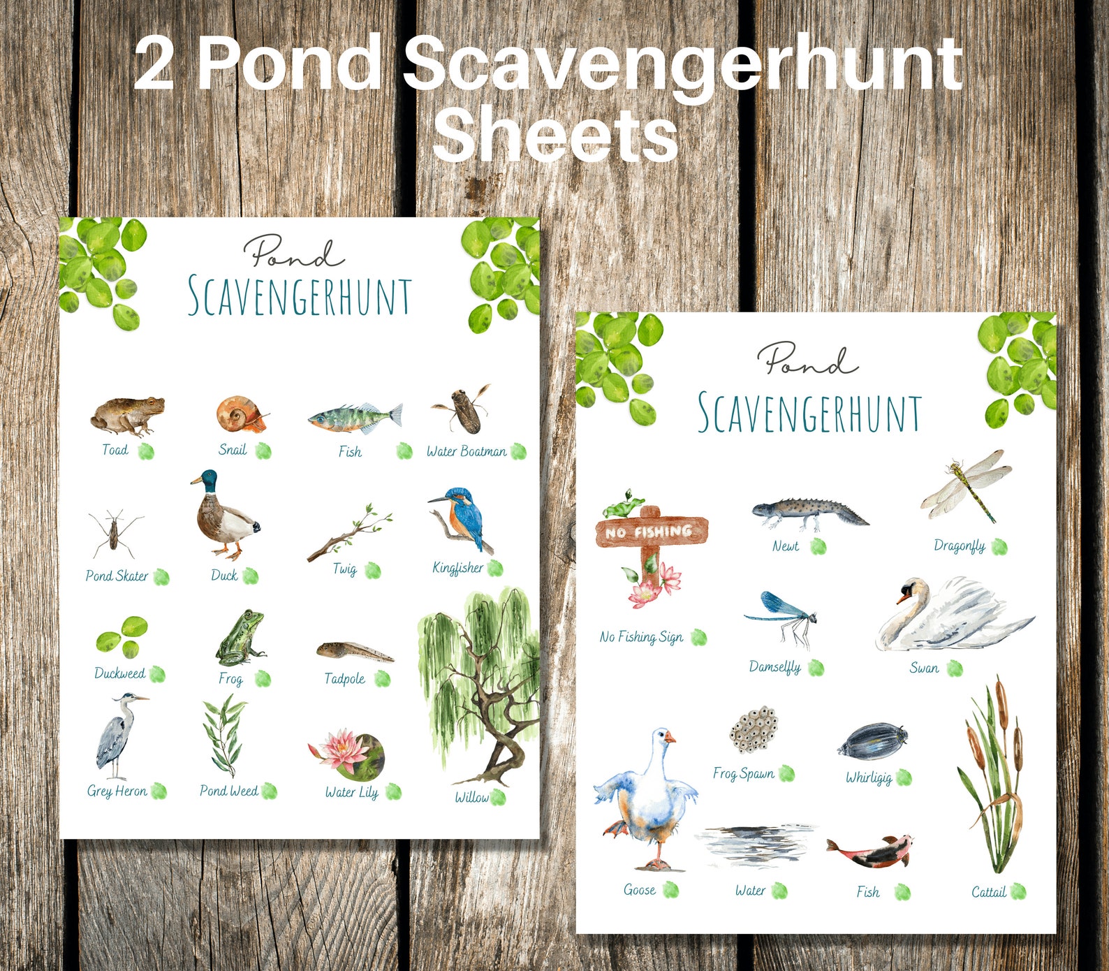 Pond Scavenger Hunt and Pond Walk Observation Activity Pages | Etsy