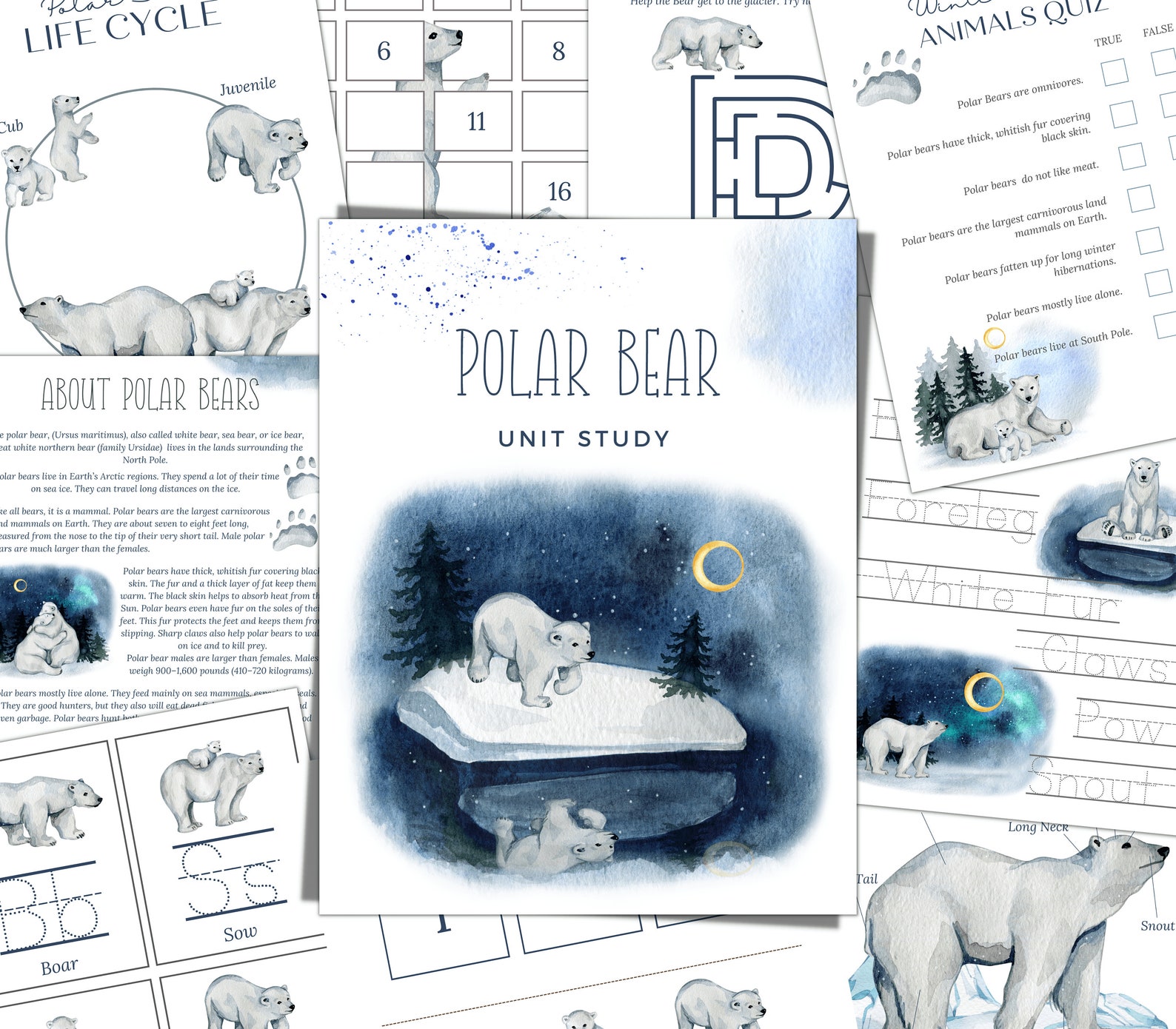 POLAR Bear Unit Study, Life Cycle, Anatomy, Nature Study, Science ...