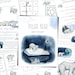 Polar Bear Unit Study: Life Cycle, Anatomy, Homeschool Printable ...