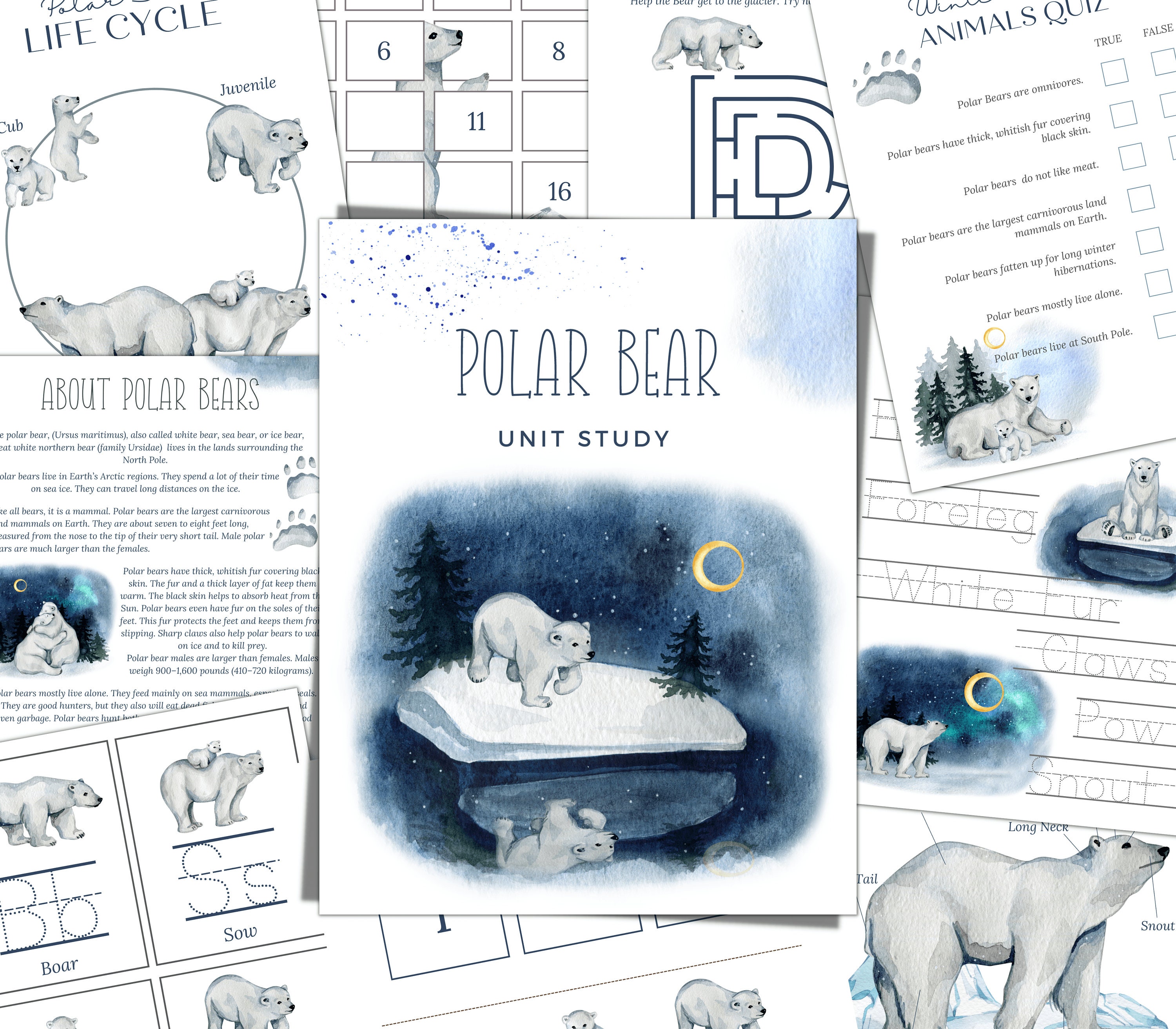 Polar Bear Unit Study: Life Cycle, Anatomy, Homeschool Printable ...