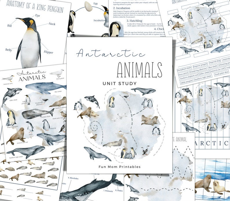 Earth Poles Unit Study Bundle: Antarctic Animals, Polar Bear (printable ...