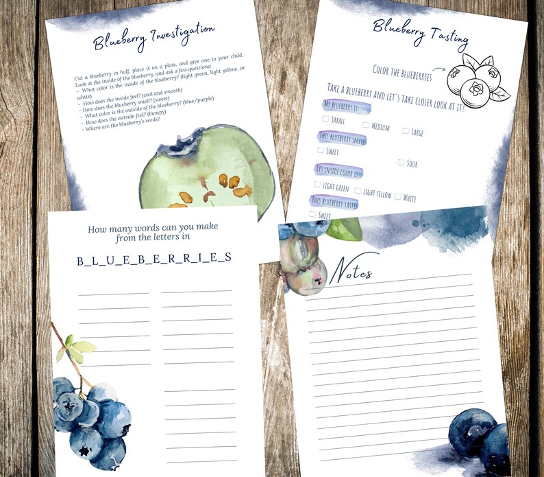 BLUEBERRY Unit Study Life Cycle Anatomy Nature Study - Etsy