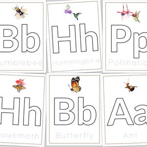 POLLINATORS Unit Study, Nature Study, Science, Handwriting, Homeschool ...