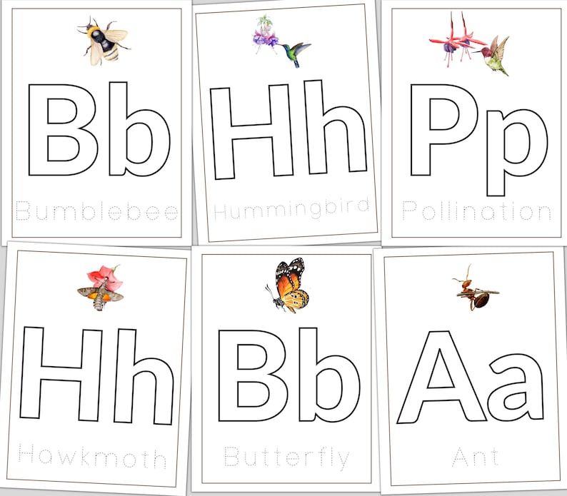 POLLINATORS Unit Study, Nature Study, Science, Handwriting, Homeschool ...