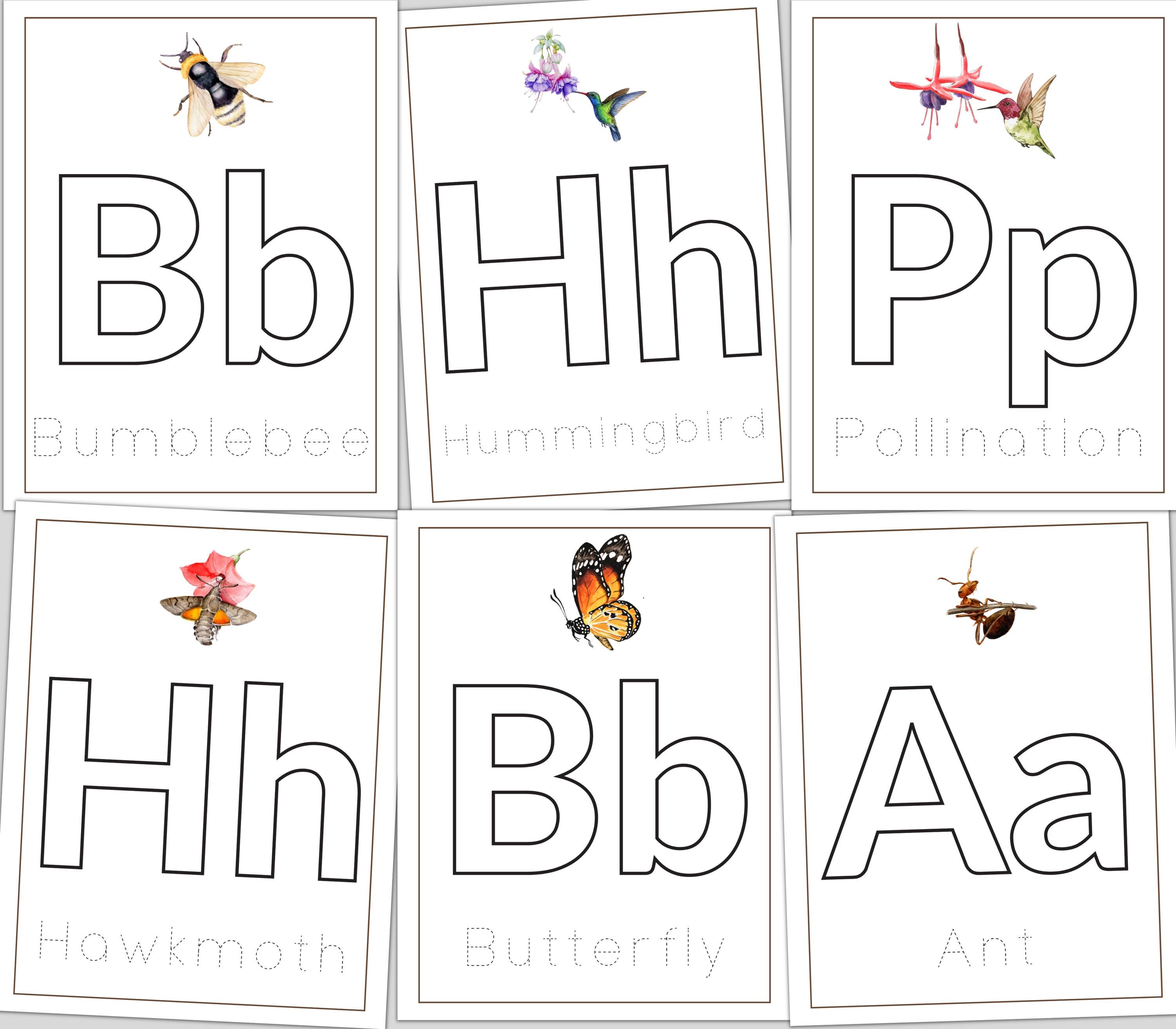 POLLINATORS Unit Study, Nature Study, Science, Handwriting, Homeschool ...