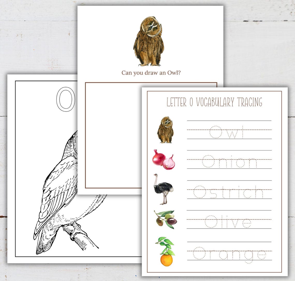 Letter O is for Owl - Alphabet Learning Printable (instant Download) - Etsy