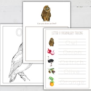 LETTER of the WEEK, O is for Owl, Letter O Activities, Alphabet ...
