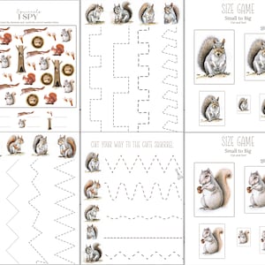 Squirrel Unit Study: Anatomy, Life Cycle, Homeschool Printable (instant ...