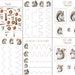 Squirrel Unit Study: Anatomy, Life Cycle, Homeschool Printable (instant ...
