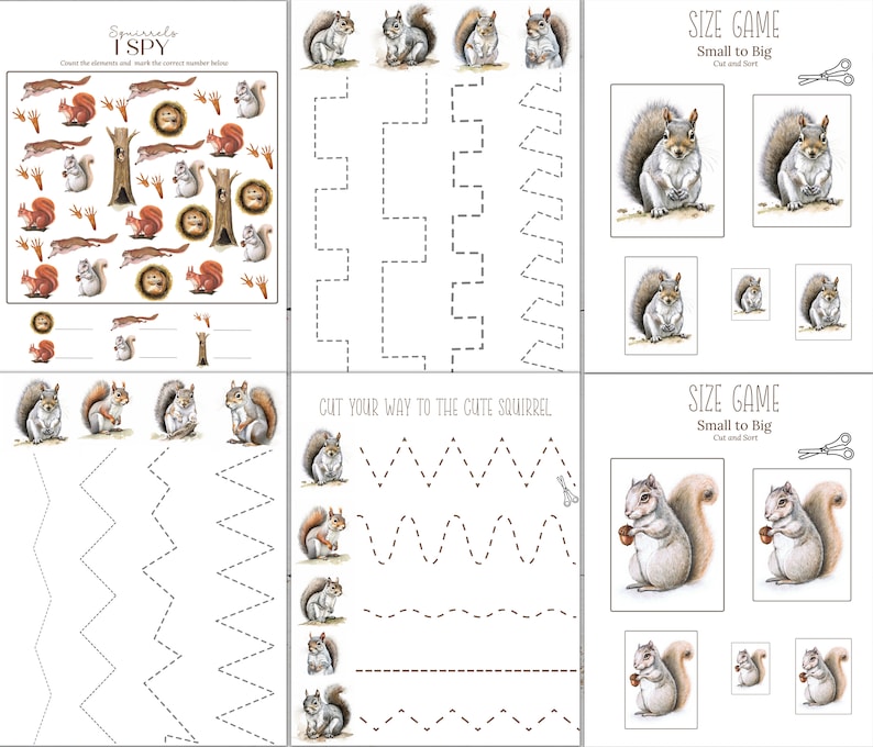 Squirrel Unit Study: Anatomy, Life Cycle, Homeschool Printable (instant ...