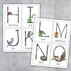Forest ABC Flashcards, Instant Download - Etsy