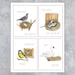 BIRDS and Their NESTS Flashcards and Matching Activity, Instant ...