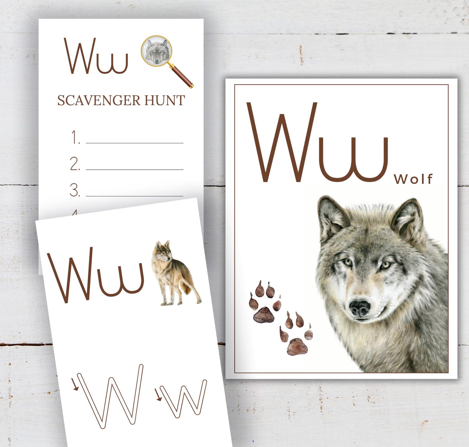 Letter W Wolf Learning Activities: Alphabet Printable (instant Download ...