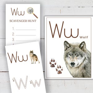 Letter W Wolf Learning Activities: Alphabet Printable (instant Download ...