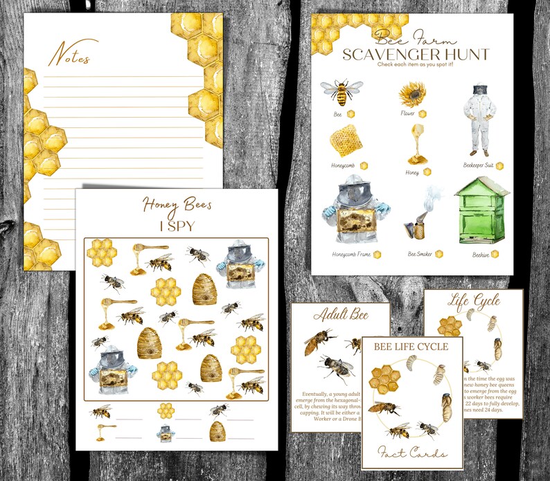 Honey Bees and Beekeeping Study Unit Life Cycle Anatomy - Etsy