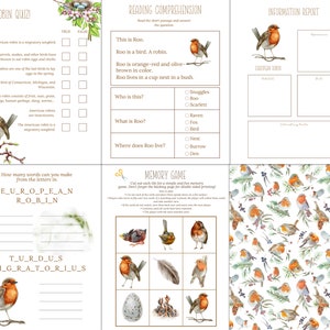 EUROPEAN ROBIN Unit Study, Life Cycle, Anatomy, Nature Study, Science ...