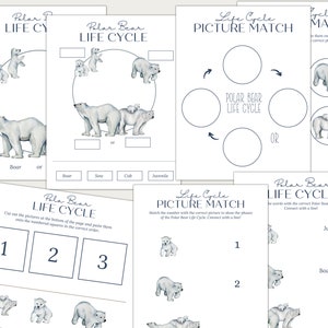 POLAR Bear Unit Study, Life Cycle, Anatomy, Nature Study, Science ...