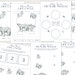Polar Bear Unit Study: Life Cycle, Anatomy, Homeschool Printable ...