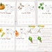 PUMPKIN Unit Study, Life Cycle, Anatomy, Nature Study, Science ...