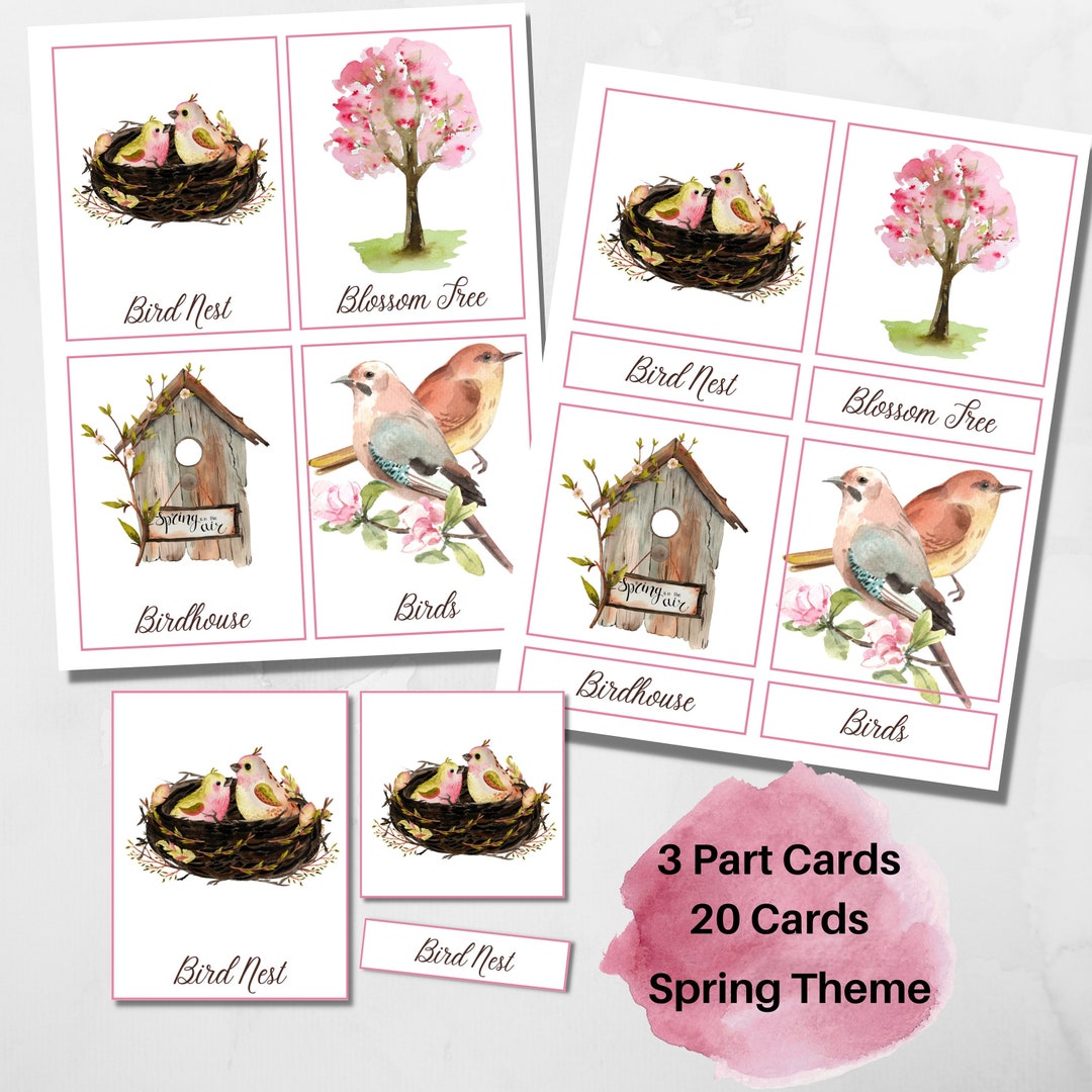 Spring Montessori Cards: Watercolor Nature Flashcards (digital DIY) - Etsy
