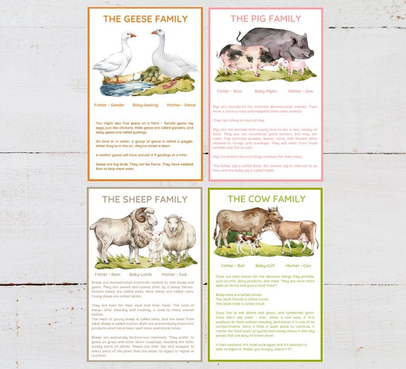 Farm Animals Flashcards: Educational Mini Poster (printable PDF) - Etsy