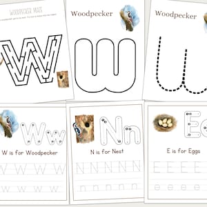 Woodpeckers Unit Study: Life Cycle, Anatomy, Homeschool Printable ...