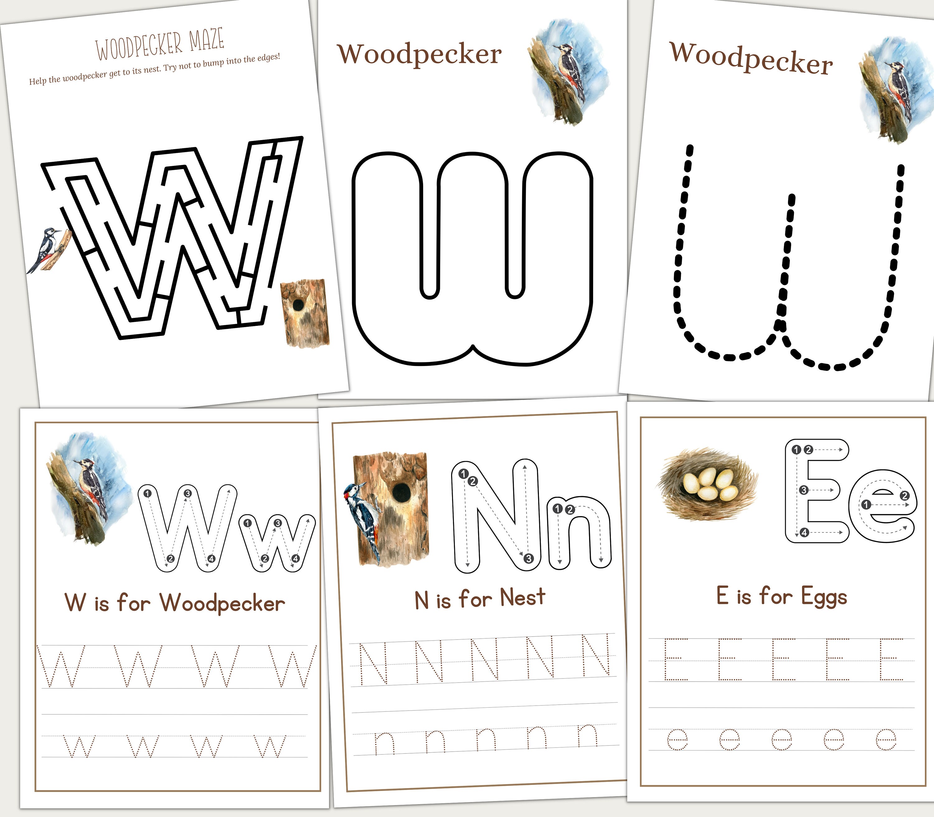Woodpeckers Unit Study: Life Cycle, Anatomy, Homeschool Printable ...