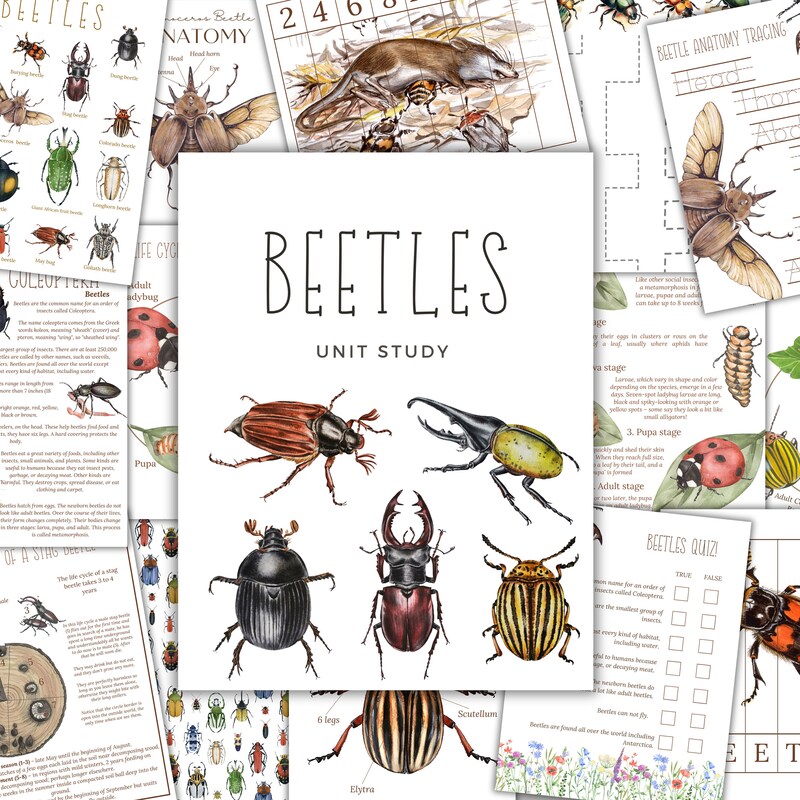 FunMomPrintables - Etsy