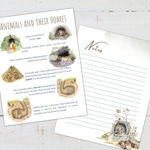 ANIMAL HOMES Unit Study, Nature Study, Science, Handwriting, Homeschool ...