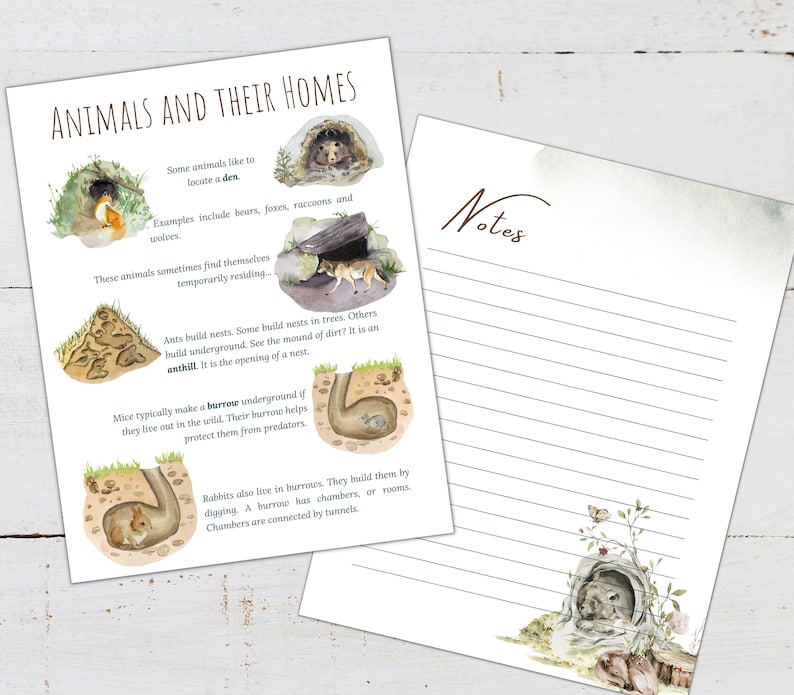 ANIMAL HOMES Unit Study, Nature Study, Science, Handwriting, Homeschool ...