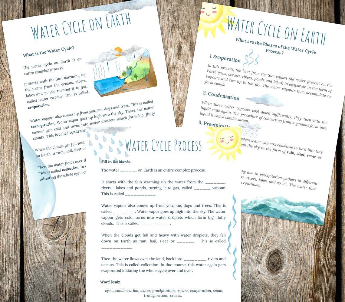 WATER CYCLE Unit Study Process Nature Study Science - Etsy