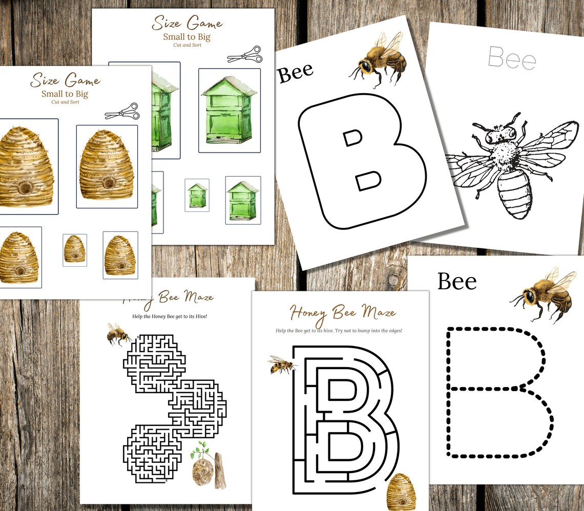 Honey Bees and Beekeeping Study Unit Life Cycle Anatomy - Etsy