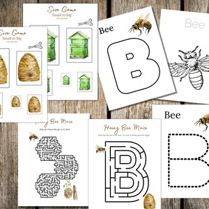 Honey Bees and Beekeeping Study Unit Life Cycle Anatomy - Etsy