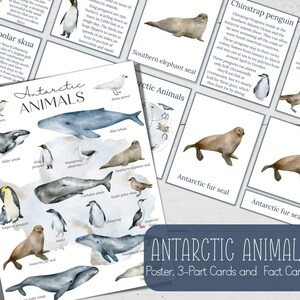 WORLD ANIMALS BUNDLE: Australian Animals, African Savannah and ...