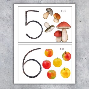 AUTUMN/FALL NATURE Counting Flashcards, 1 to 10 Counting, Toddler ...