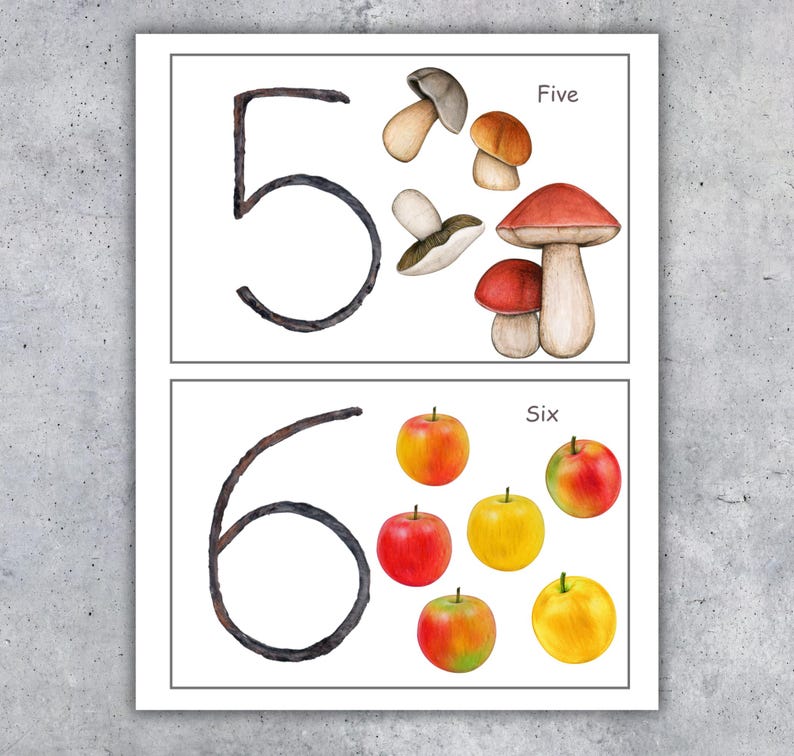 AUTUMN/FALL NATURE Counting Flashcards, 1 to 10 Counting, Toddler ...
