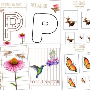 POLLINATORS Unit Study, Nature Study, Science, Handwriting, Homeschool ...