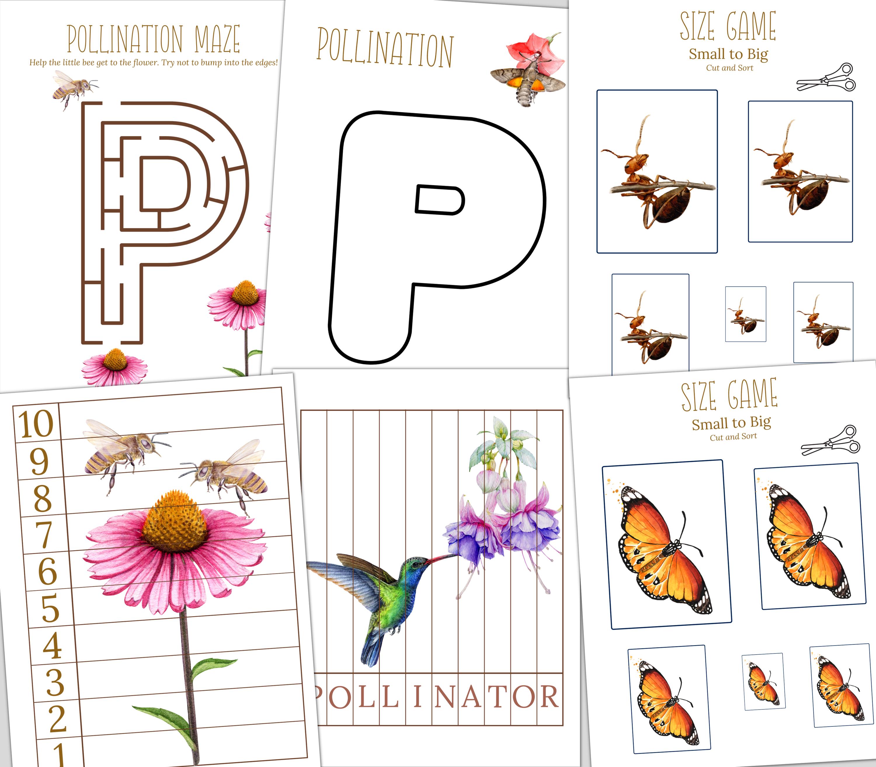 POLLINATORS Unit Study, Nature Study, Science, Handwriting, Homeschool ...